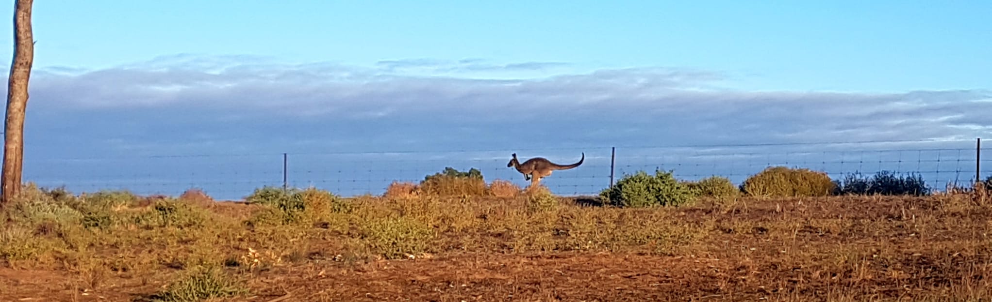 Lake Albacutya Loop, Victoria, Australia - 3 Reviews, Map | AllTrails
