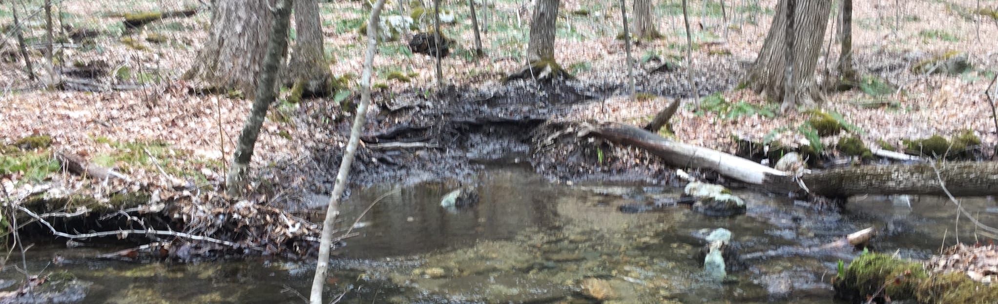 Blue Blaze to the Pinnacle, Connecticut - 20 Reviews, Map | AllTrails