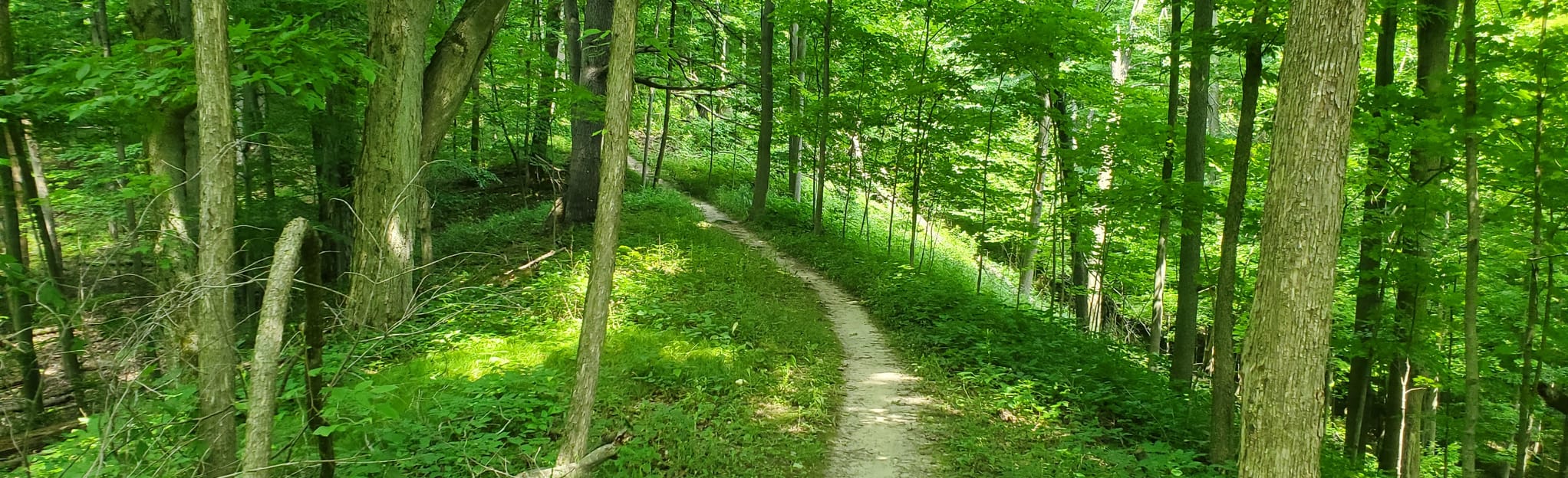 Groundhog Hill Loop: 63 Reviews, Map - Ontario, Canada | AllTrails