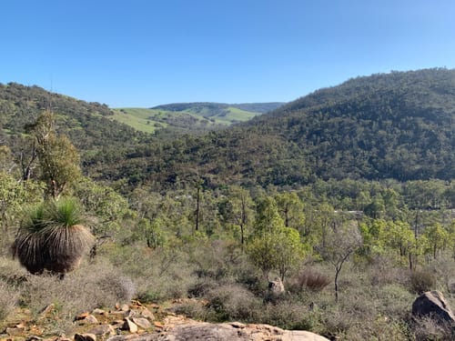 Best Hikes and Trails in Paruna Wildlife Sanctuary | AllTrails