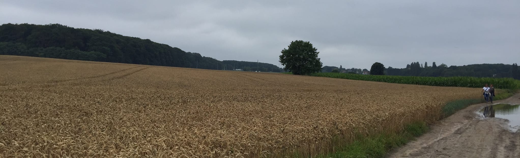 Everberg - Plantsoenbos, Flemish Brabant, Belgium - 26 Reviews, Map ...