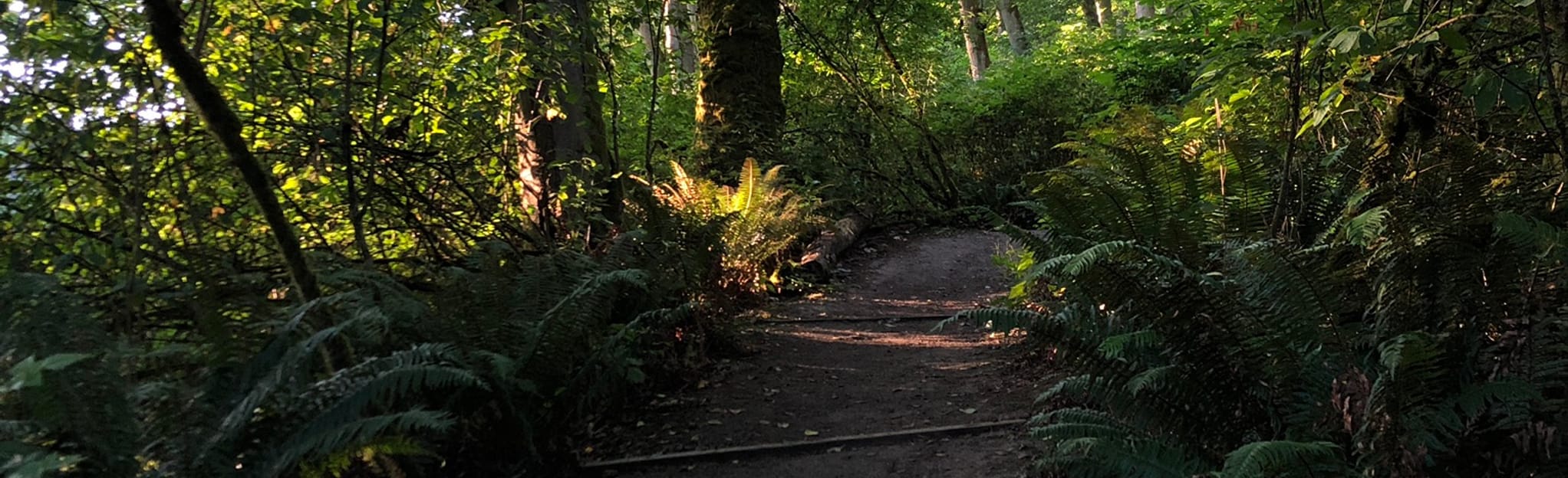 South Ridge, Hillside, Brick Road and Piper's Creek Trail , Washington ...