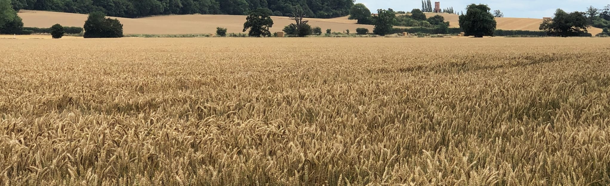 River Pang, Moor Copse and Pangbourne Circular, Berkshire, England - 26 ...