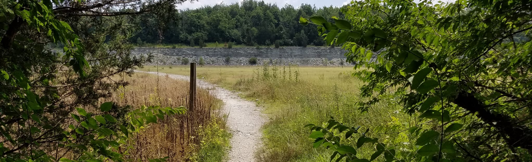 Flat Fork Ridge Trail, Ohio - 1,156 Reviews, Map | AllTrails