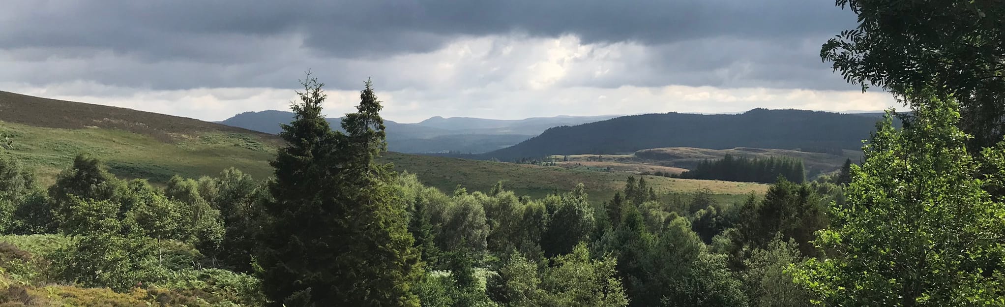 AllTrails | Dunkeld and Loch Ordie Circular: 44 Reviews, Map - Perth ...