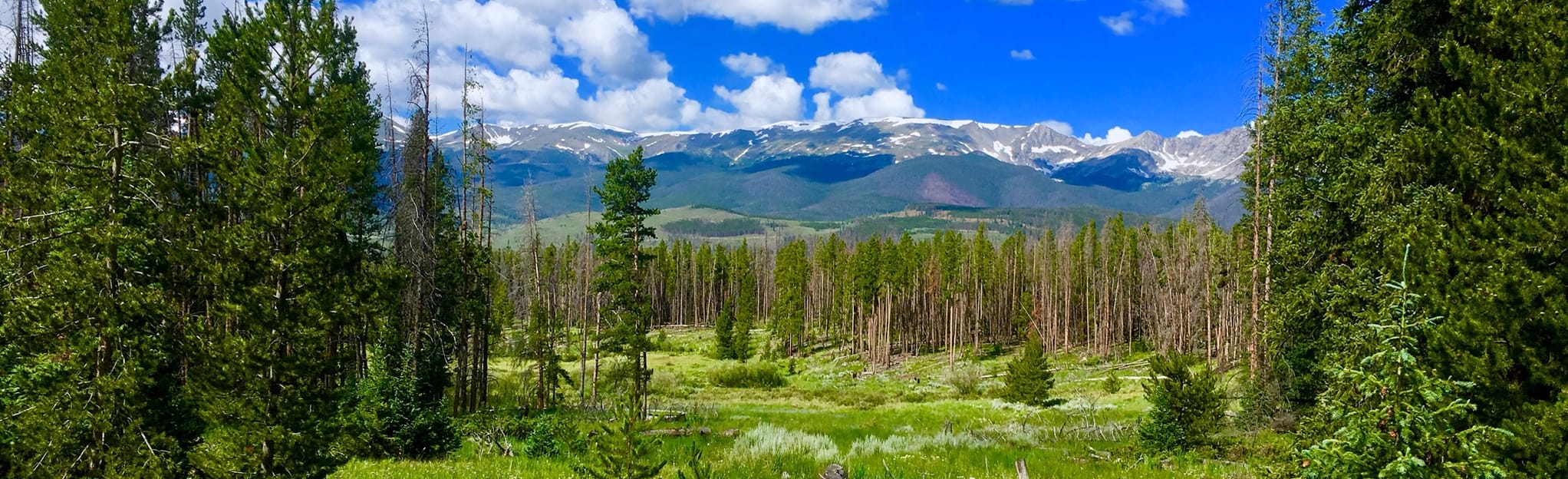 Campion Trail, Colorado - 317 Reviews, Map | AllTrails