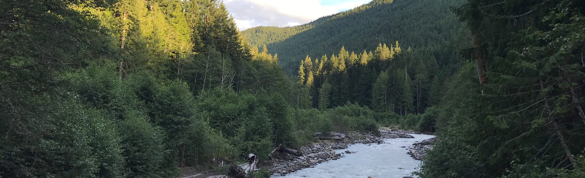 Suiattle River to Gamma Ridge Trail: 3 Reviews, Map - Washington ...