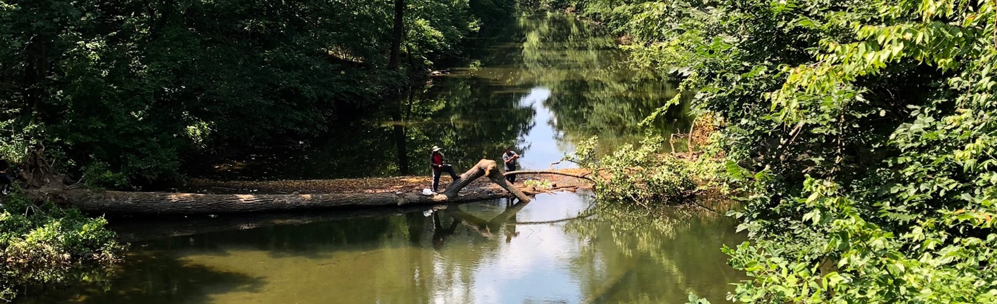 Margaree Dam White, Orange, and Forbidden Drive Loop , Pennsylvania ...