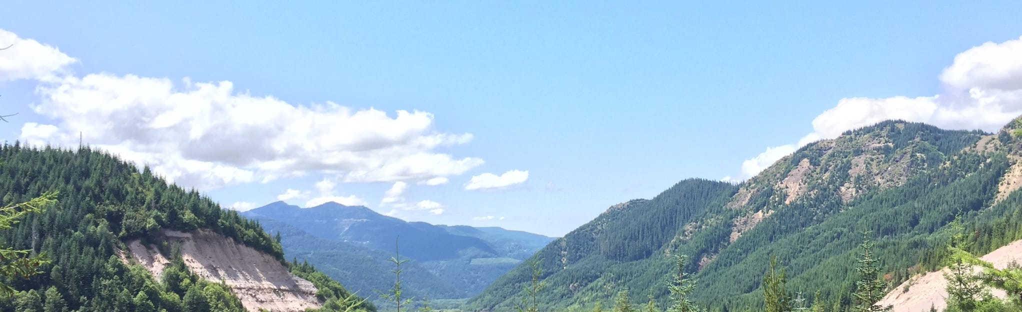 Toutle Trail, Washington - 107 Reviews, Map | AllTrails