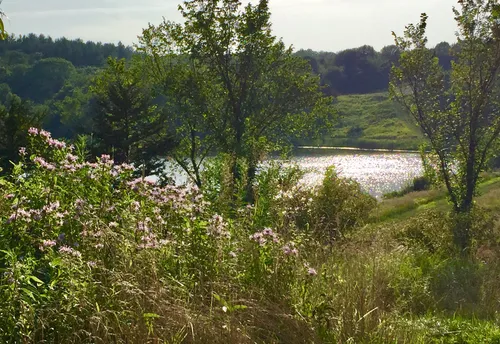 Best Hikes and Trails in Stephens State Forest | AllTrails