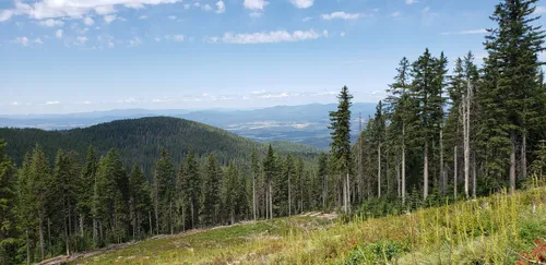 Best 10 Hikes and Trails in Mount Spokane State Park | AllTrails