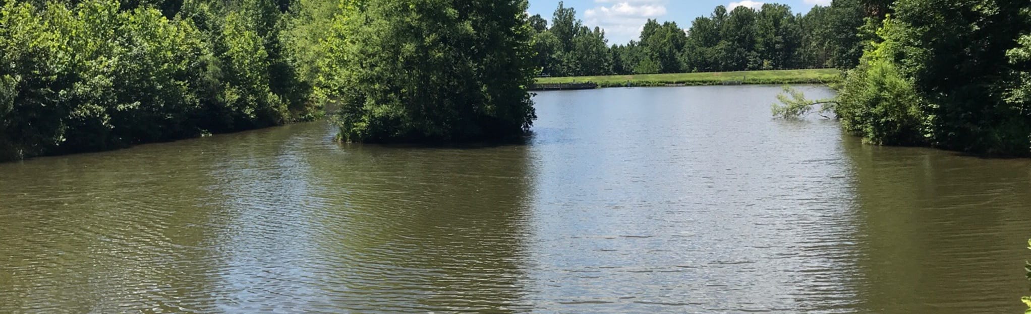 Village Point Lake Greenway: 232 Reviews, Map - North Carolina | AllTrails