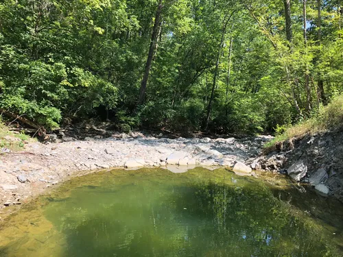 10 Best Hikes and Trails in Mount Airy Forest | AllTrails