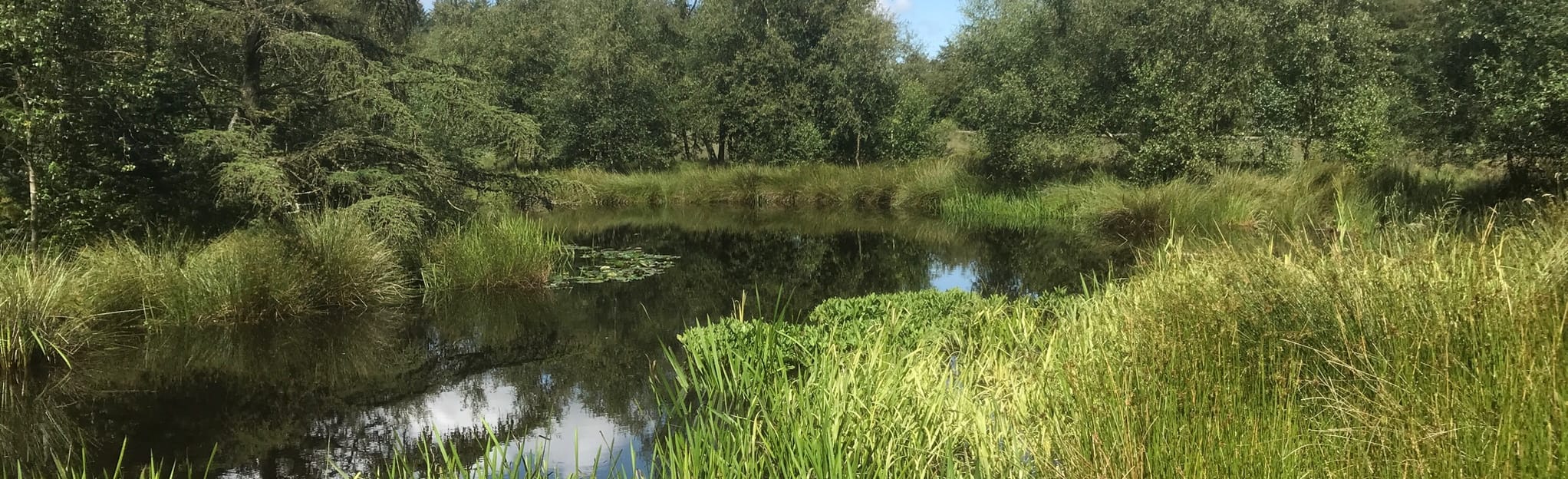 Beacon Fell Circular: 61 Reviews, Map - Lancashire, England | AllTrails