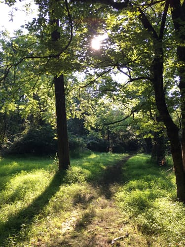 Best Hikes and Trails in Mercer Meadows | AllTrails