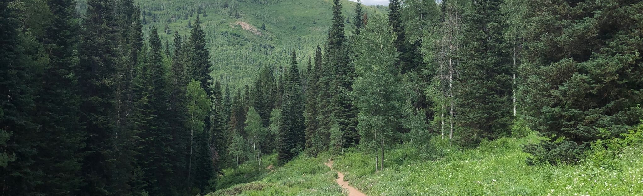 Great Western and Old Red Pine Road Trail Loop, Utah - 487 Reviews, Map ...