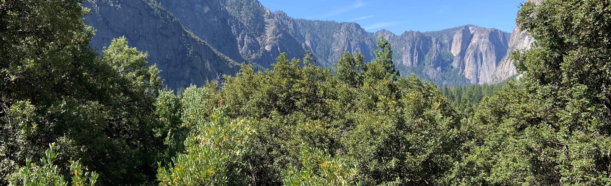 Valley Loop Trail, California - 515 Reviews, Map | AllTrails