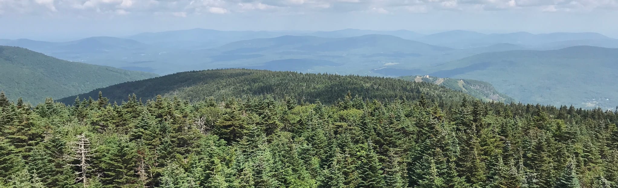 Devil's Path to Hunter Mountain Loop: 98 Reviews, Map - New York ...