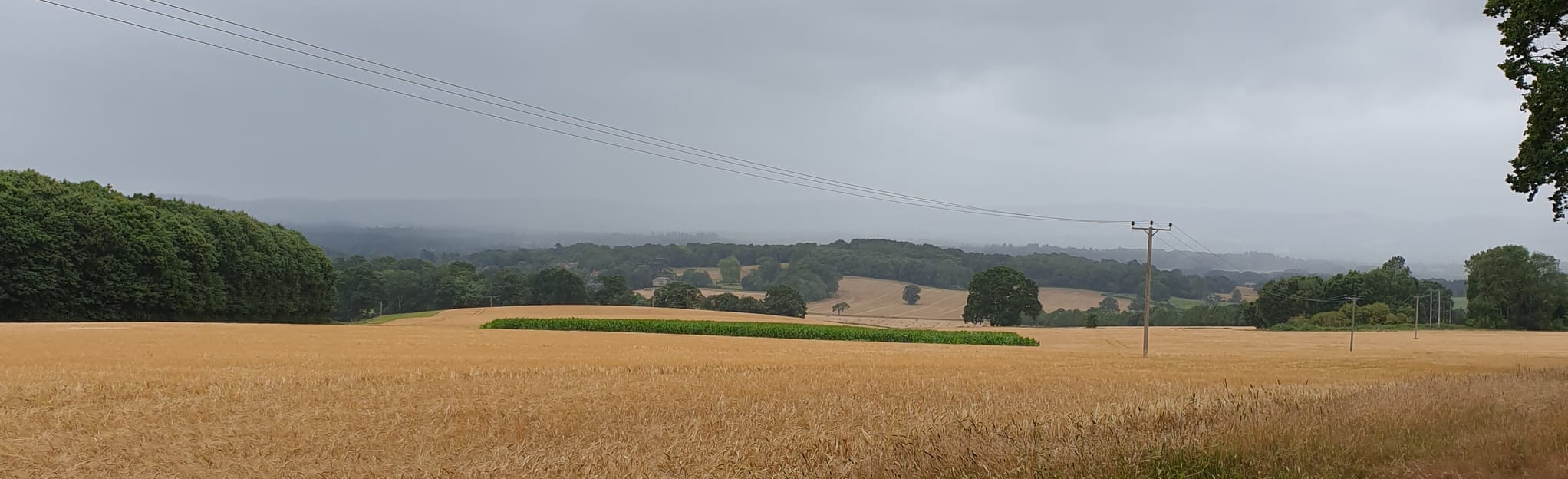 The Serpent Trail: 12 Reviews, Map - Hampshire, England | AllTrails