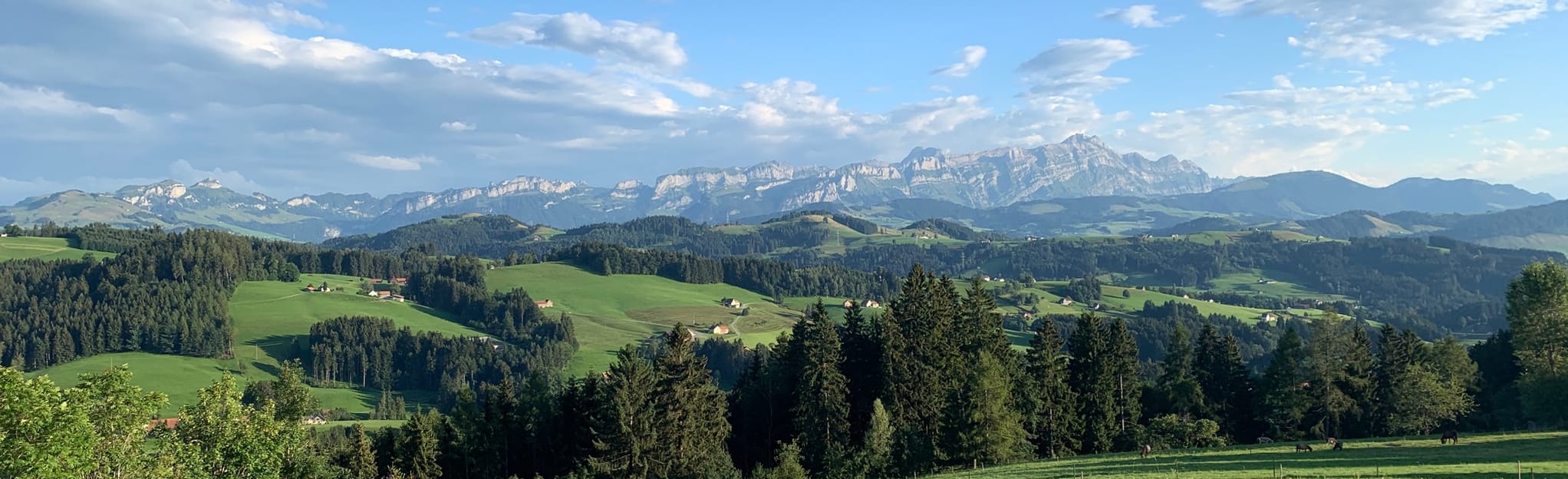 AllTrails | Gais - Gäbris - Hohe Buche - St.Gallen: 2 Reviews, Map ...