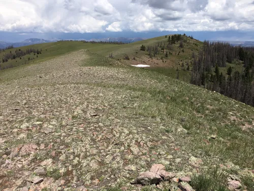 10 Best Short Trails in Rio Grande National Forest, Divide Ranger ...