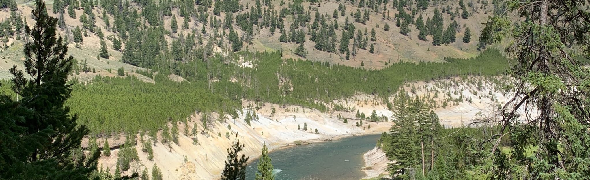 Tower Falls Trail, Montana - 360 Reviews, Map | AllTrails