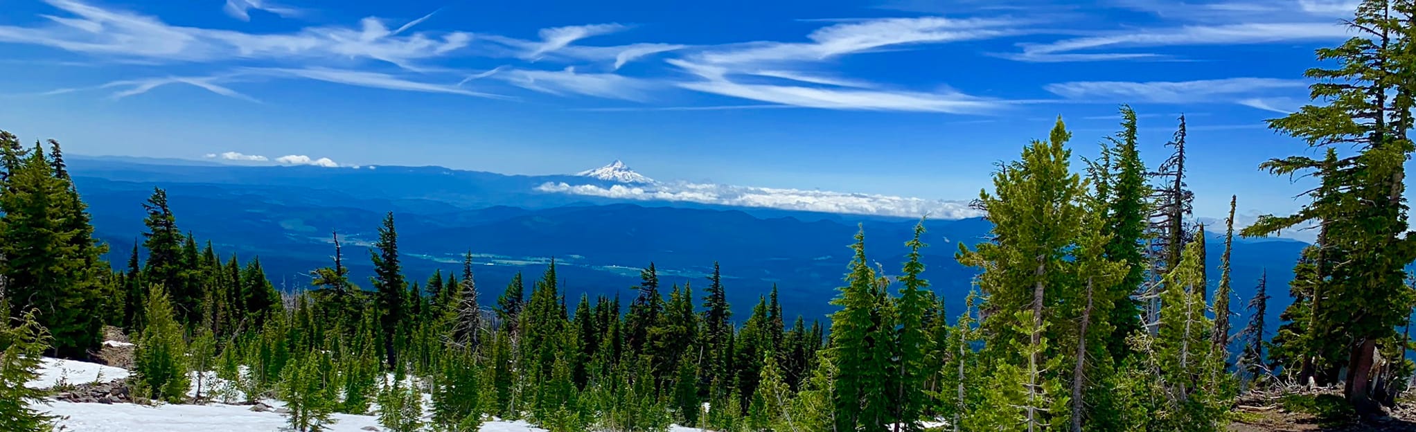 Mount Adams South Climb Trail, Washington - 1,712 Reviews, Map | AllTrails