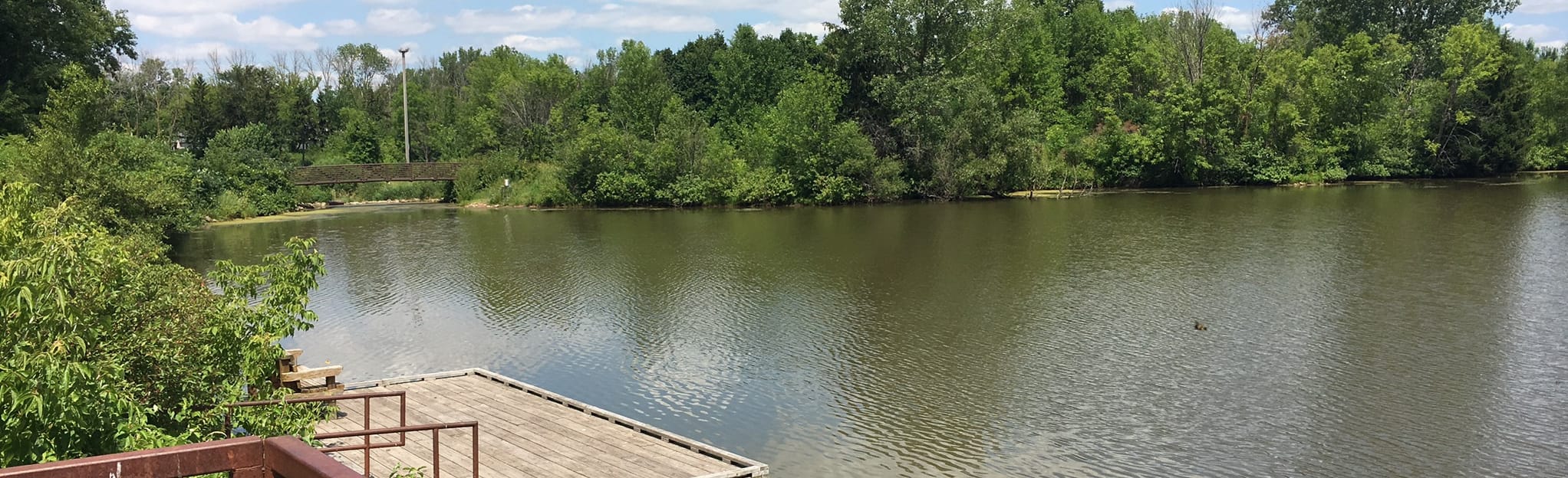 Butterfly Pond Trail: 186 Reviews, Map - Wisconsin | AllTrails