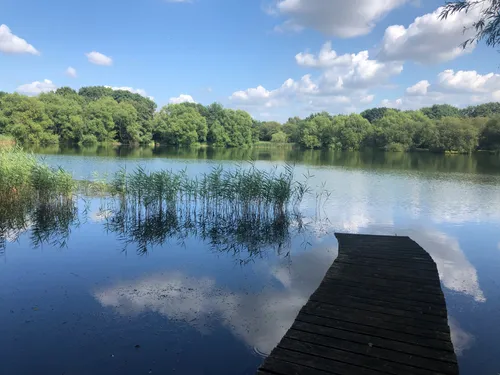 Best Trail Running Trails in Dinton Pastures County Park | AllTrails