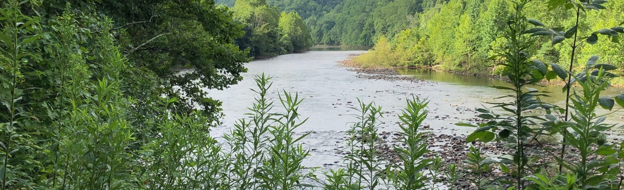 Allegheny Highlands Trail (Thomas Subdivision): 31 Reviews, Map - West ...