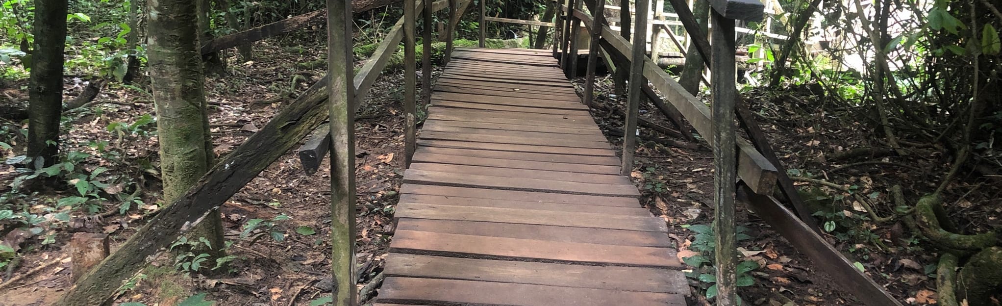 Kakum Canopy Walk: 65 foto - regione Centrale, Ghana | AllTrails