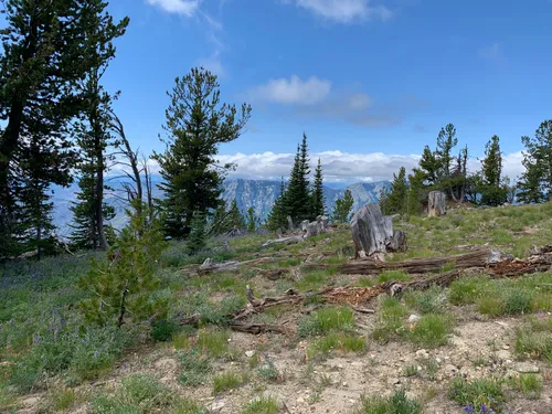 10 Best Trails and Hikes in Entiat | AllTrails