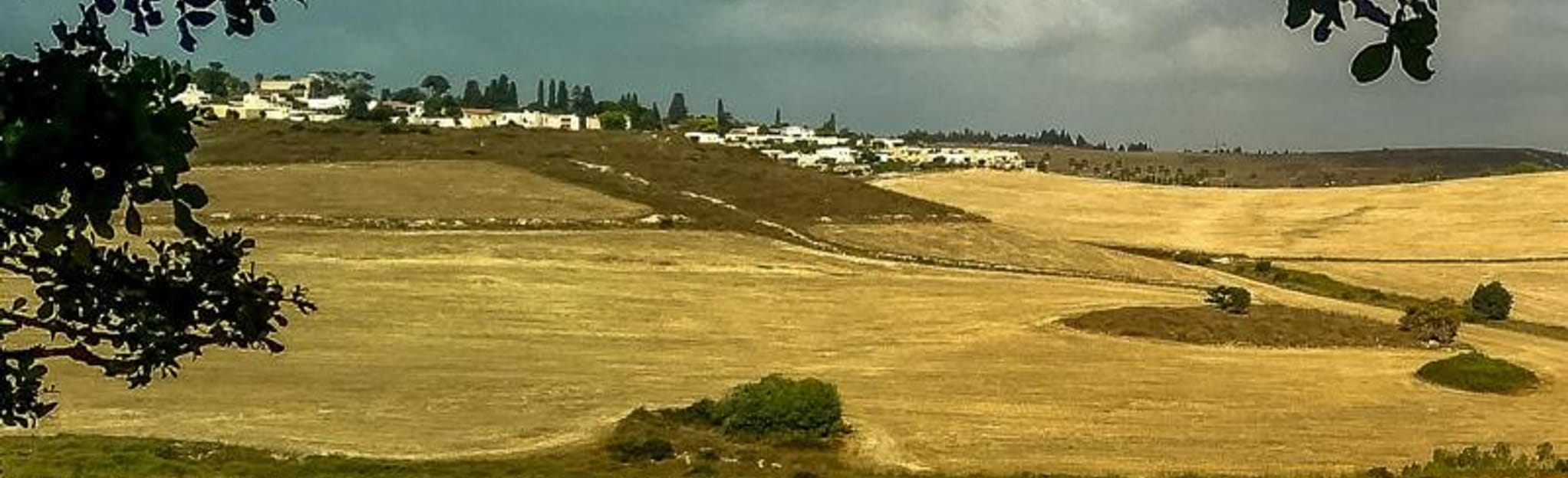 Ramat HaShofet, Mishmar HaEmek and Ein Hashofet Forest, Northern ...