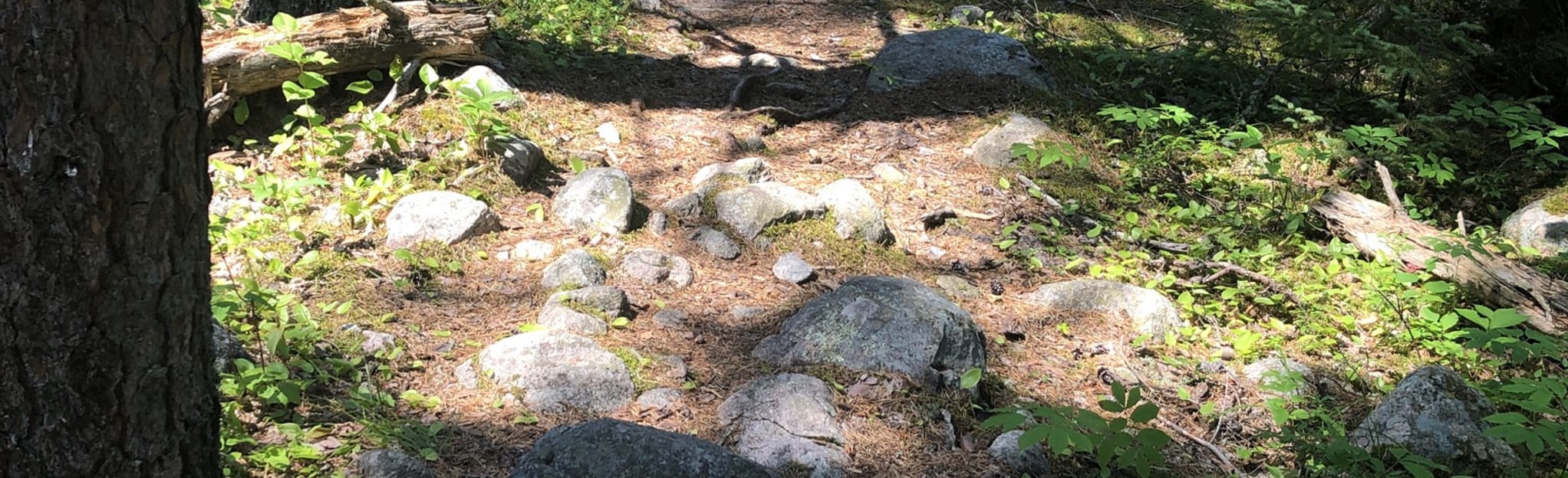 Boulder Ridge Trail: 18 Reviews, Map - Ontario, Canada | AllTrails