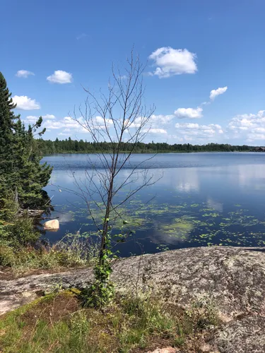 Best Hikes and Trails in Blue Lake Provincial Park | AllTrails