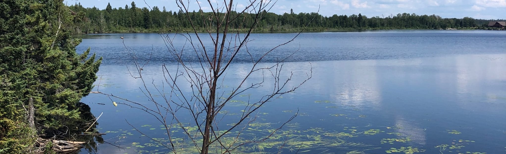 Rock Point Trail: 48 Reviews, Map - Ontario, Canada | AllTrails