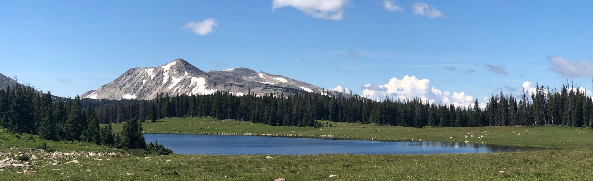 Sheep Lake Trail, Wyoming - 21 Reviews, Map | AllTrails