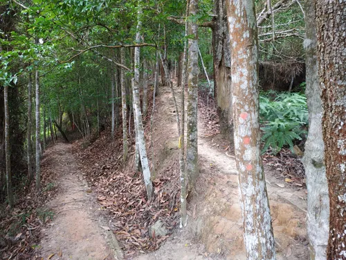 2023 Best 10 Walking Trails in Batu Pahat | AllTrails