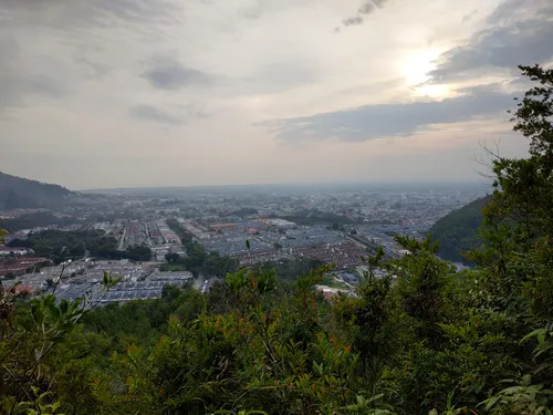 2023 Best Forest Trails in Hutan Lipur Soga Perdana | AllTrails