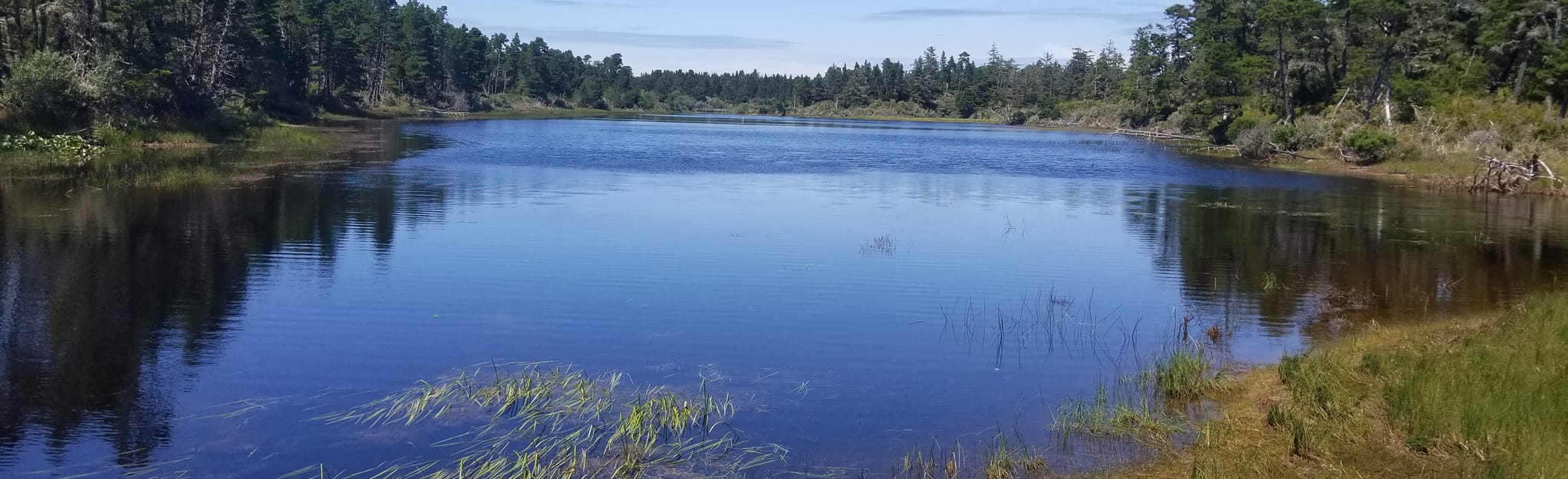 Bluebill Lake Trail: 115 Reviews, Map - Oregon | AllTrails