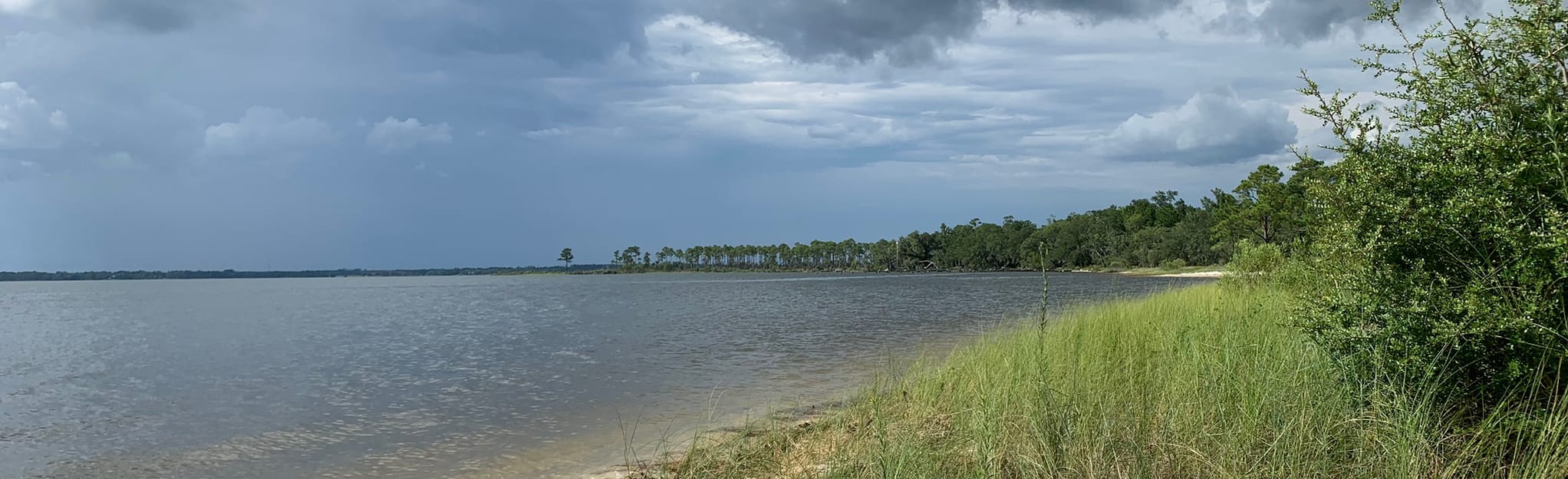 Bayou Campground Loop, Florida - 16 Reviews, Map | AllTrails