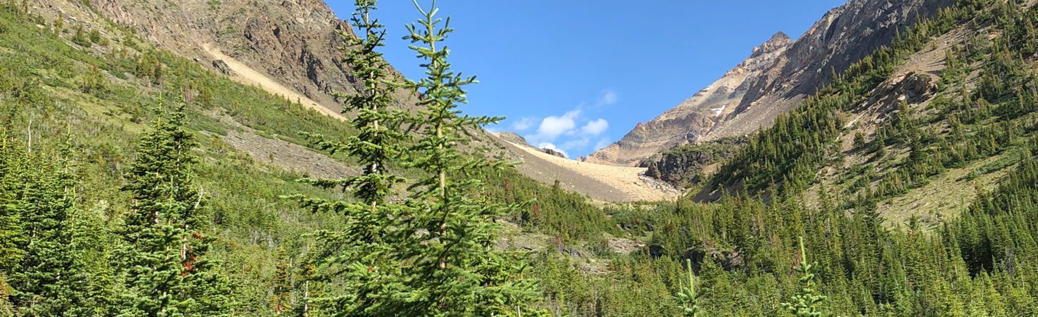 Mount Nelson Trail, British Columbia, Canada - 19 Reviews, Map | AllTrails