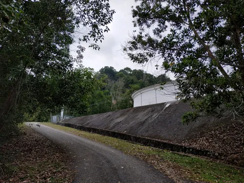 2023 Best Forest Trails in Hutan Lipur Soga Perdana | AllTrails