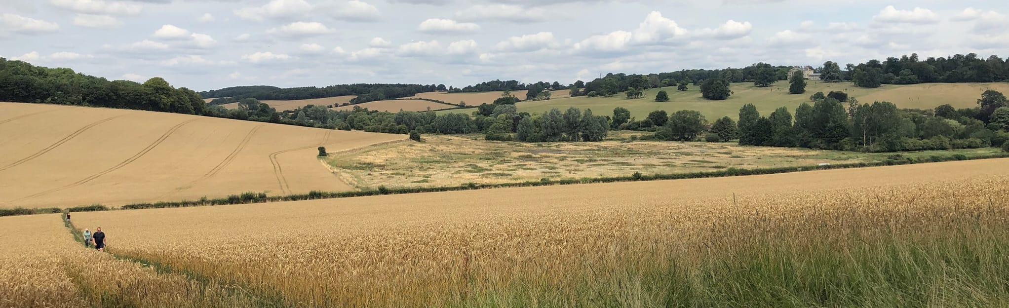 The Alford Arms and the Chiltern Hills Circular: 260 Reviews, Map ...