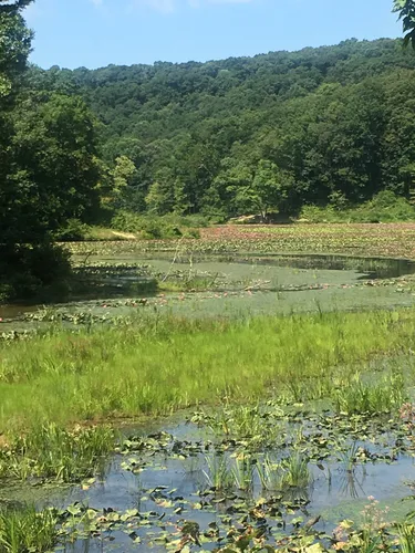 10 Best Hikes and Trails in Lake Hope State Park | AllTrails