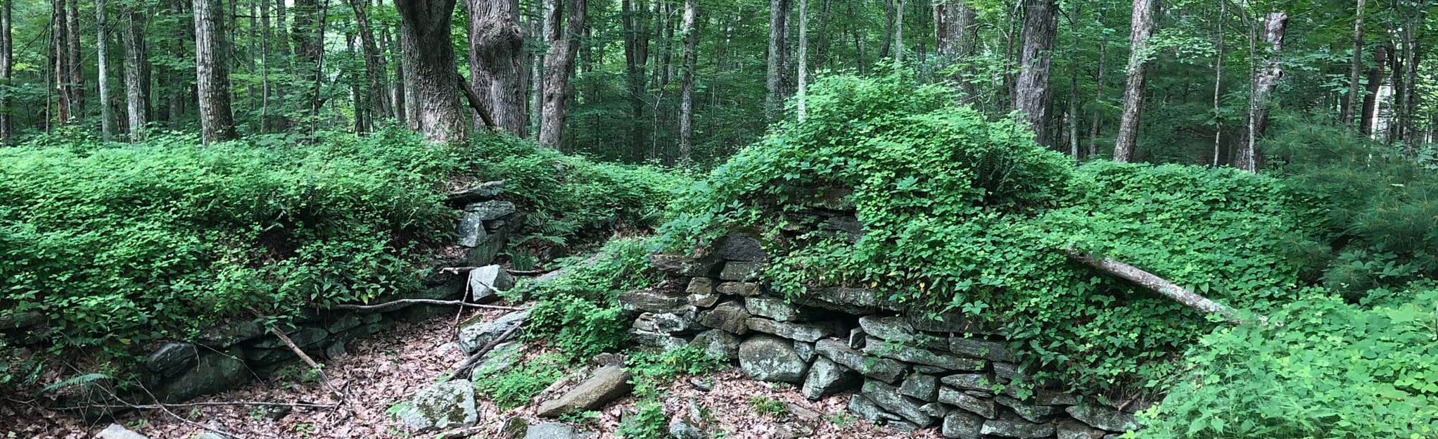 Ponaganset Covered Bridge Trail, Rhode Island - 119 Reviews, Map ...