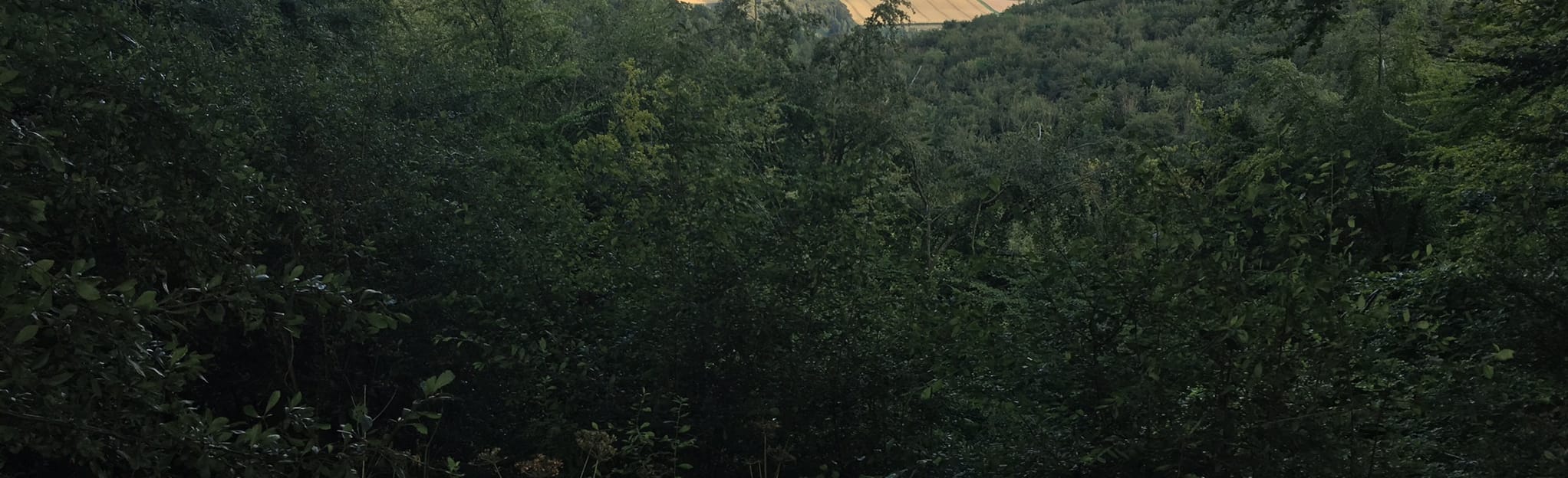 Millington Wood Circular: 75 foto's - East Riding of Yorkshire ...