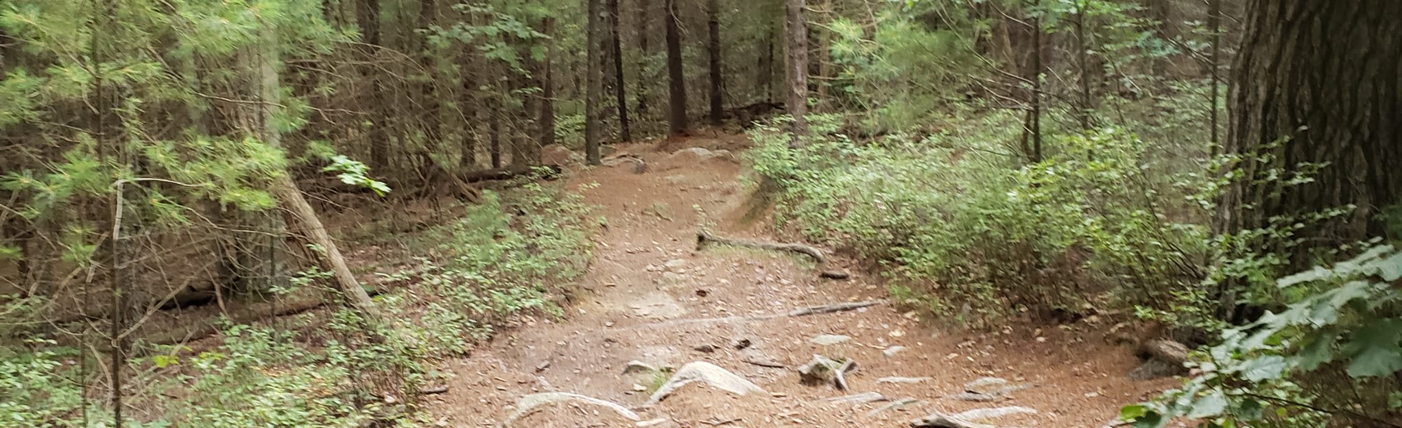 Breakneck Hill Loop, Massachusetts - 98 Reviews, Map | AllTrails