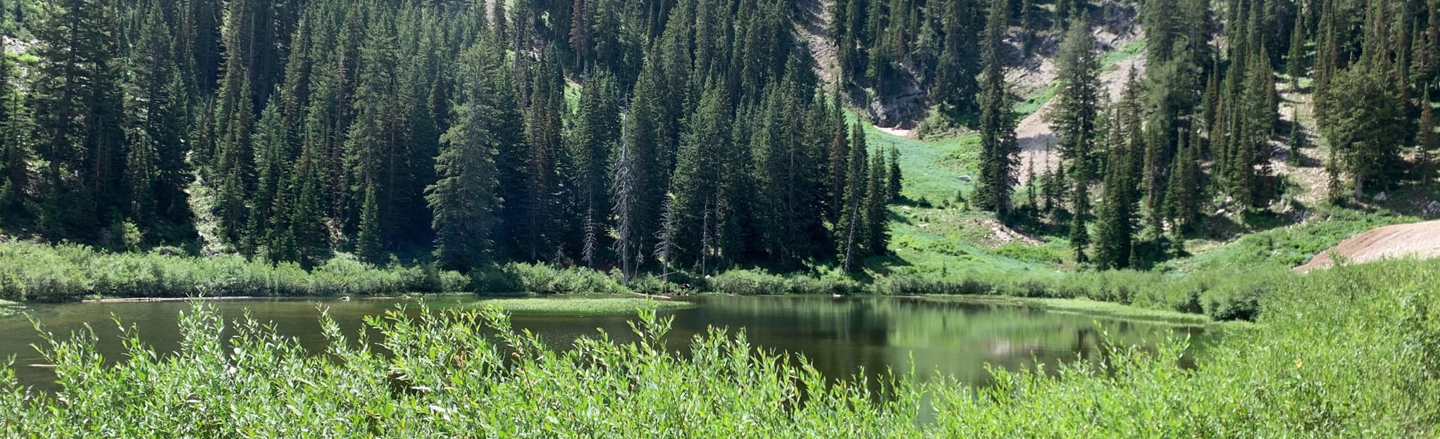 Lake Solitude via Raptor Road and Lookout Cutoff, Utah - 120 Reviews ...