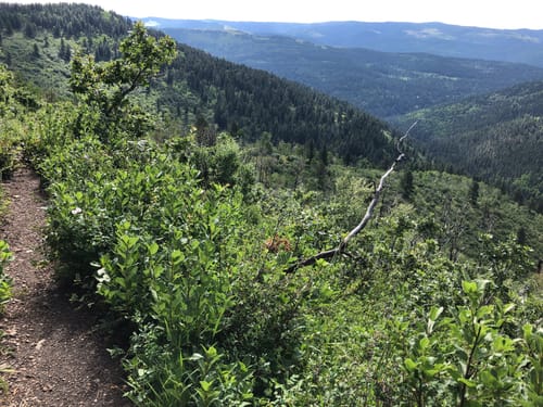 Best 10 Hikes and Trails in Pecos Wilderness | AllTrails